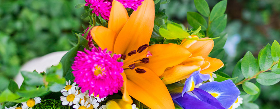 Forty Fort Florist with Same-Day Delivery | Evans-king Floral–Evans ...