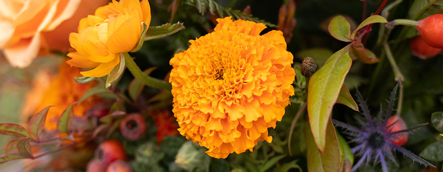 Forty Fort Florist with Same-Day Delivery | Evans-king Floral–Evans ...